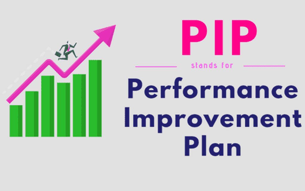 Performance Improvement Plan PIP Full Form Details
